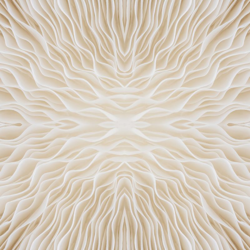 iTernity Software-Defined Archiving - iTernity