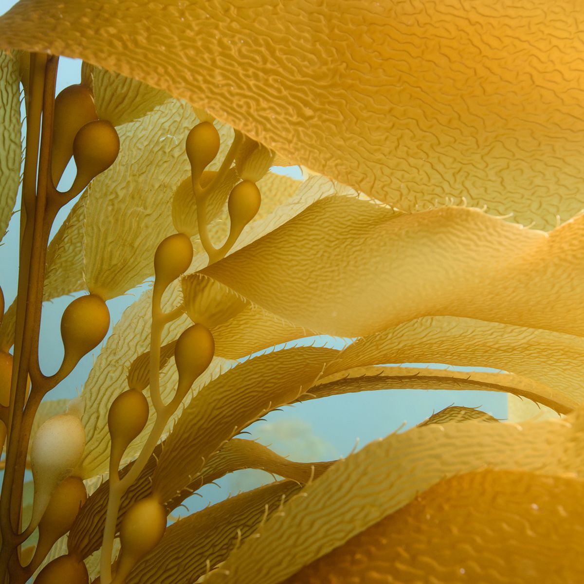 iTernity Software-Defined Archiving - iTernity