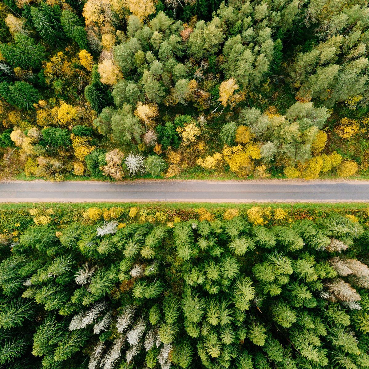 iTernity Software-Defined Archiving - iTernity